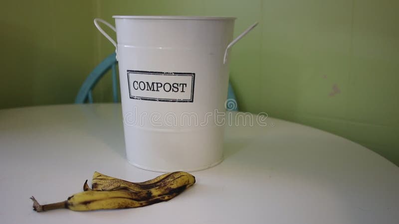 Kitchen Compost Pail. Sorting Waste. Recycle Kitchen Scraps. Stock ...