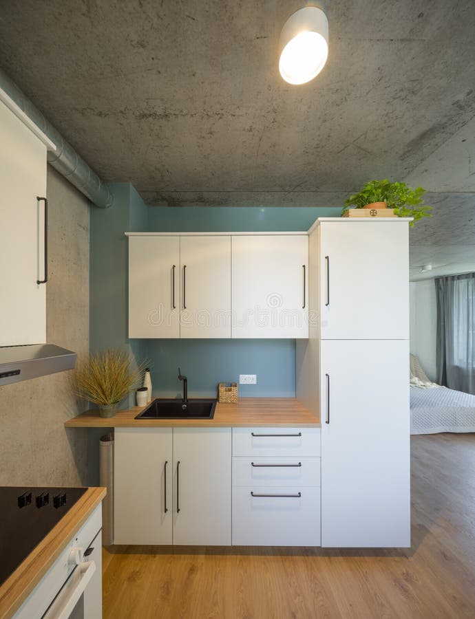 The Kitchen and Dining Room in a Modern Apartment. Kitchen Area in ...