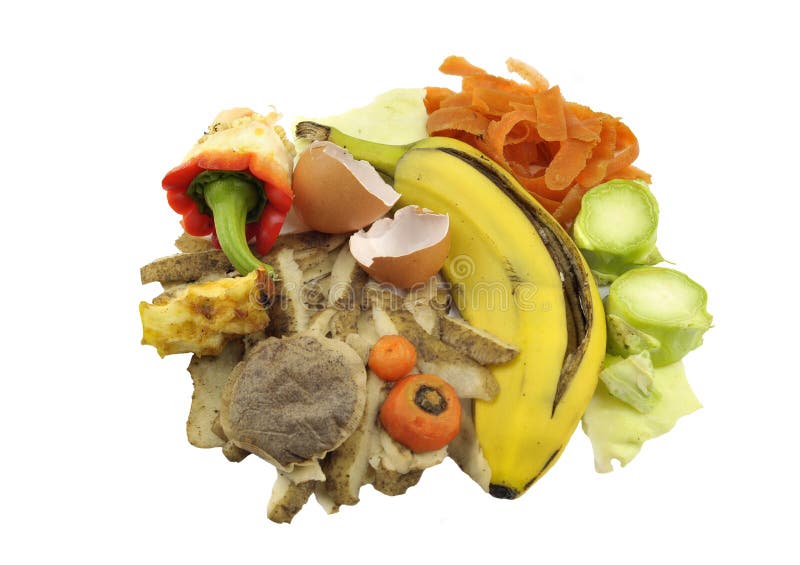 Kitchen food waste stock photo. Image of white, paper - 66524138