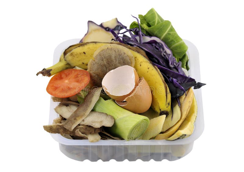 Kitchen food waste stock photo. Image of white, paper - 66524138