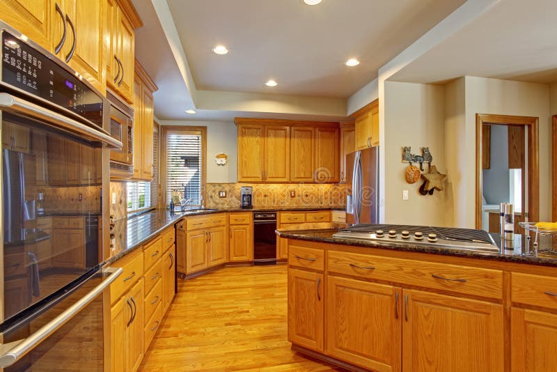 Kitchen Interior in Luxury House Stock Image - Image of estate, kitchen ...