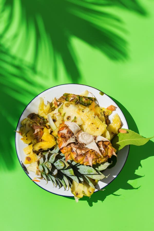 Kitchen Leftovers for Recycling and Composting, Garbage Sorting, Zero ...