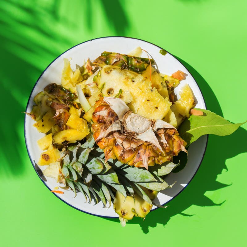 Kitchen Leftovers for Recycling and Composting, Garbage Sorting, Zero ...