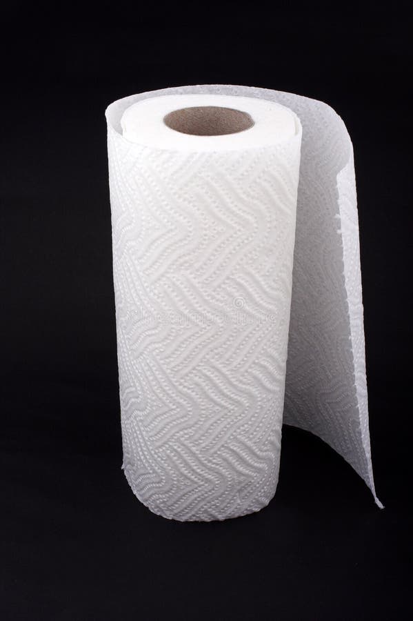 Kitchen paper stock photo. Image of paper, disposable, handy - 491836