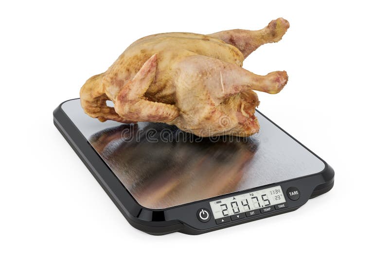 Chicken Scales Stock Illustrations – 589 Chicken Scales Stock ...