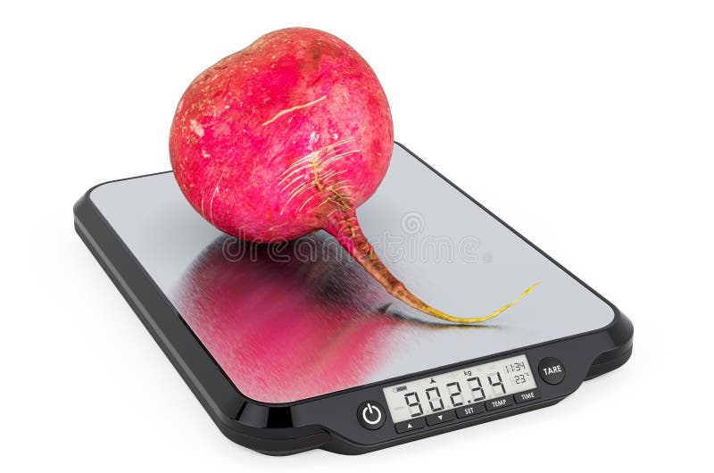 Red Kitchen Scale 3d Rendering Stock Illustrations – 40 Red Kitchen ...