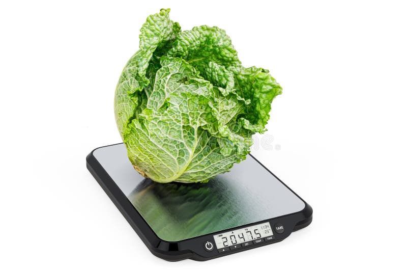 Kitchen Scales with Savoy Cabbage. 3D Rendering Stock Illustration ...