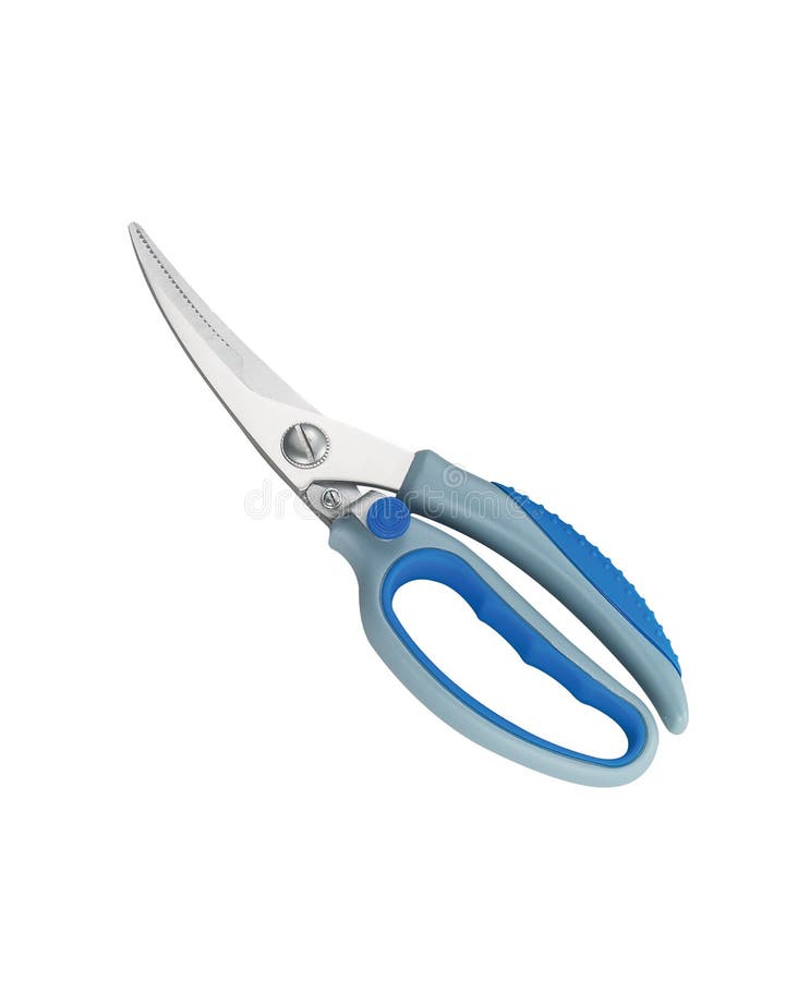 Kitchen Scissor stock image. Image of kitchen, grey, scissors - 9087841