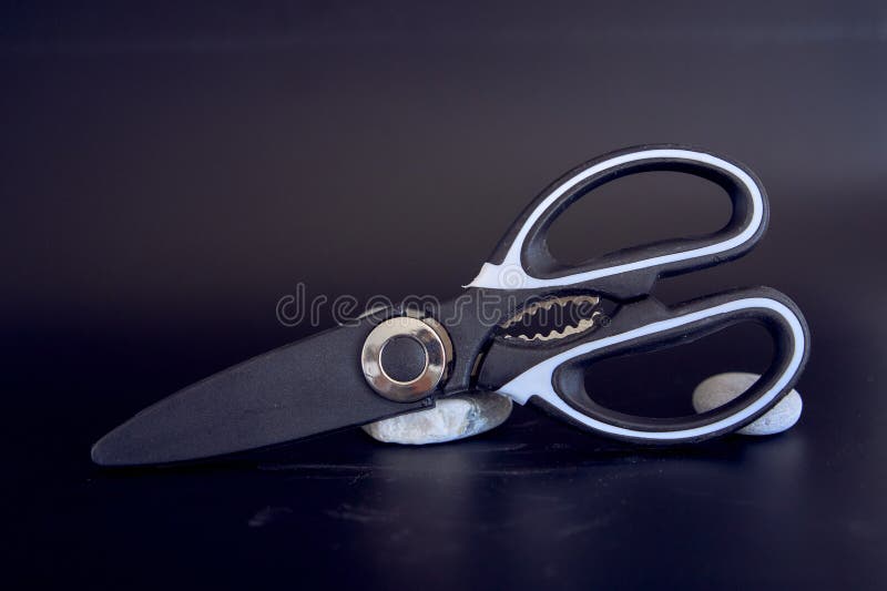 Kitchen Scissors in a Protective Case on a Black Background Stock Image ...