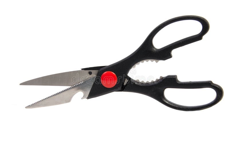 Kitchen Scissors Shears Stainless Steel. Stock Photo - Image of cooking ...
