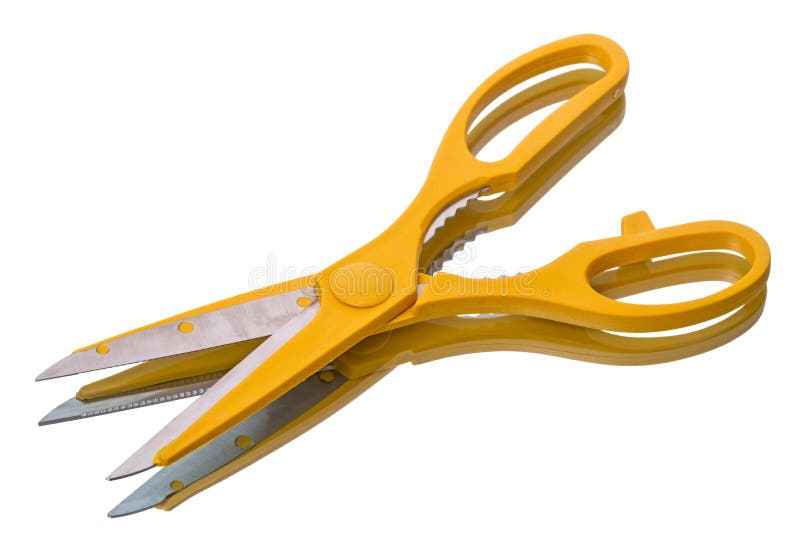 Kitchen scissors stock photo. Image of equipment, metal - 55267806