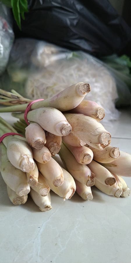 Smells Good! stock image. Image of young, whiskers, achild - 344971