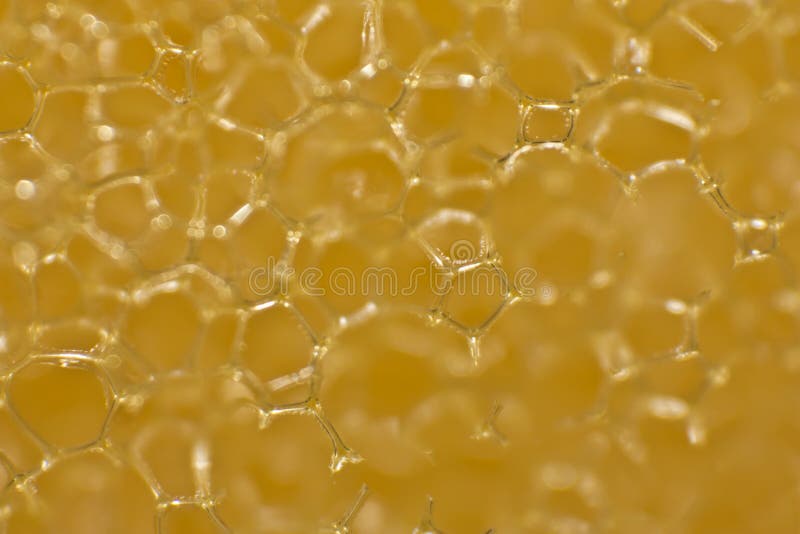 Kitchen sponge macro stock photo. Image of clean, sponge - 16795512