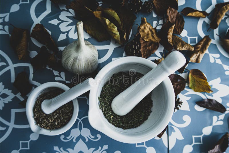 Kitchen Still Life Tuned To Blue Color Stock Photo - Image of life ...