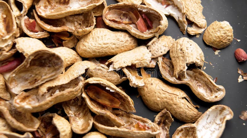 Kitchen Trash Peanut Nut Shells on Black Ceramic Plate. Top View Stock ...