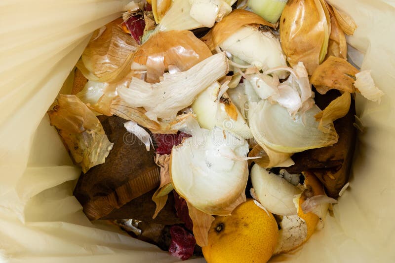 Kitchen Waste Close Up in Compost-bucket Stock Image - Image of food ...