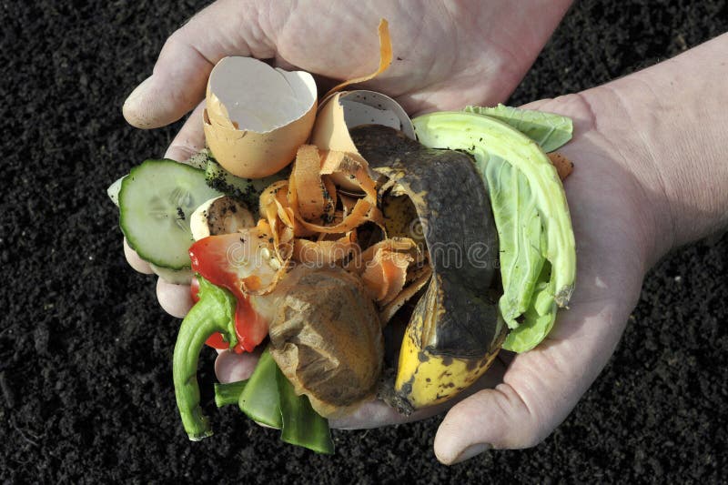 Kitchen waste stock image. Image of composting, organic - 66523429
