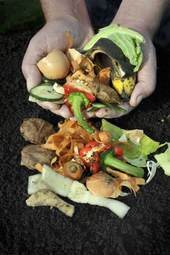 Kitchen waste stock image. Image of kitchen, home, recycle - 66523765