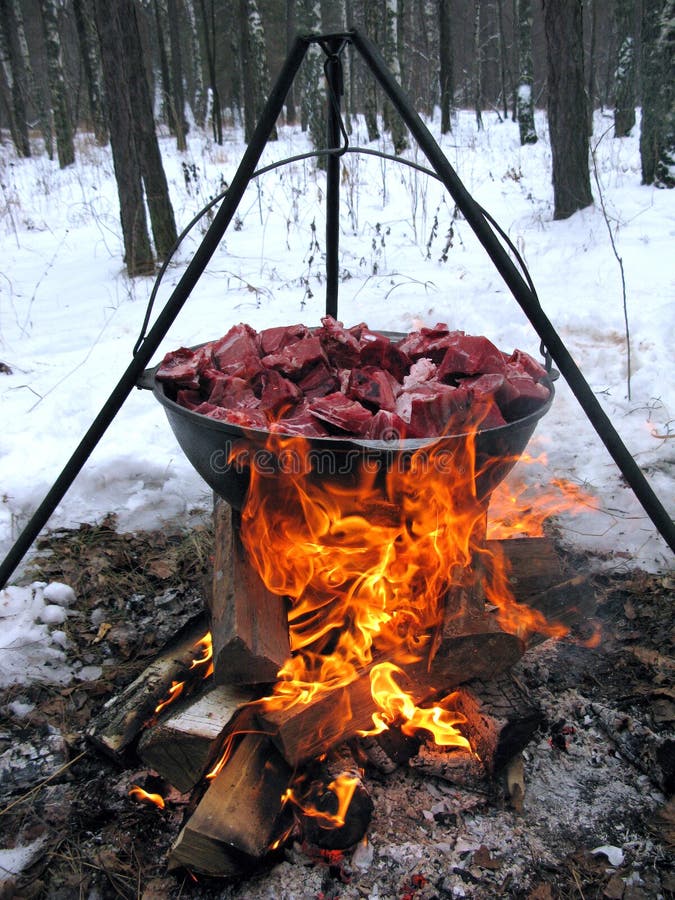 Kitchen in the Winter Forest Stock Image - Image of winterflame, boar ...