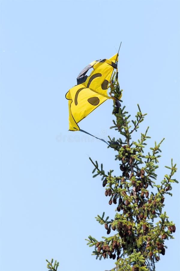 A Kite Caught on Top of a Tree Against Stock Image - Image of natural ...