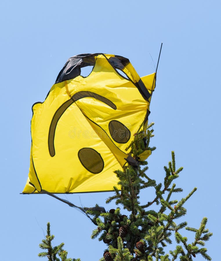 Kite Stuck Tree Stock Photos - Free & Royalty-Free Stock Photos from ...