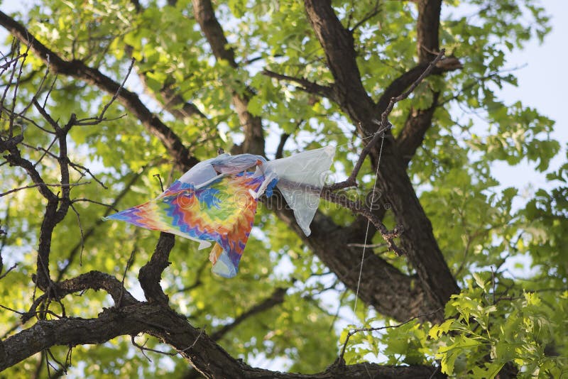 Kite caught in a tree stock image. Image of pasture, recreation - 22950871