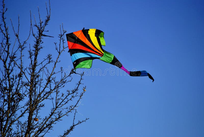 Kite Stuck Tree Stock Photos - Free & Royalty-Free Stock Photos from ...