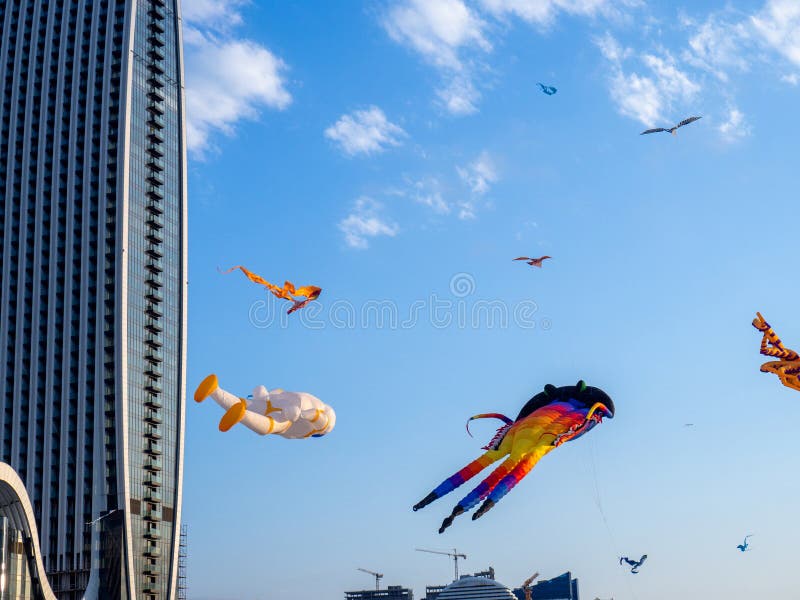 Kite Festival. Kites in the Sky. a Spectacle in the Sky. Wind is Like a ...