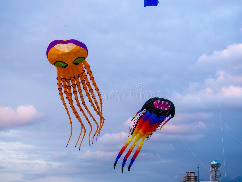 Kite Festival. Kites in the Sky. a Spectacle . Wind is Like a Force ...