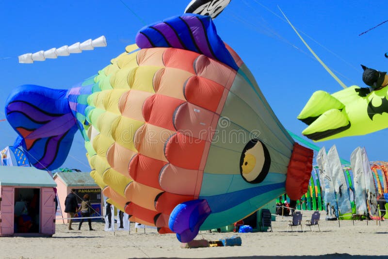 Big Fish Kite at International Kite Festival, Ahmedabad Editorial Photo ...