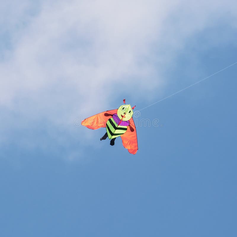 Kite flying - bee stock image. Image of flying, nice - 45633441