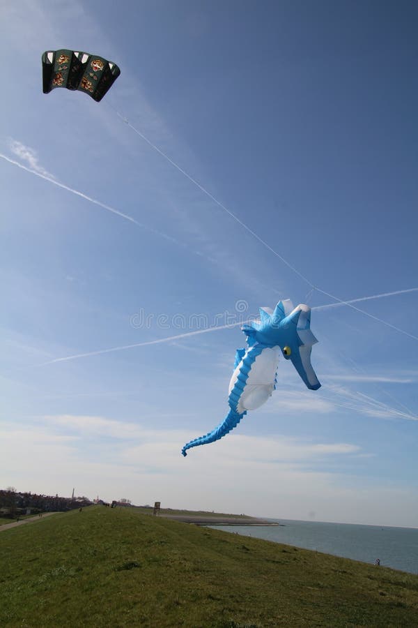 Kite Flying editorial stock photo. Image of paragliding - 89327283