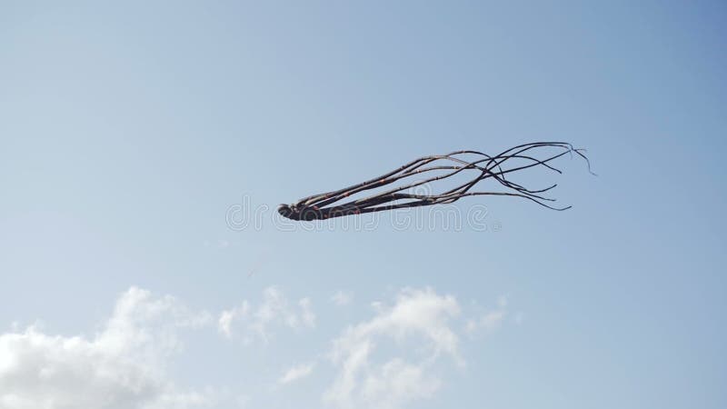 Kite in the Form of an Octopus Flying in the Sky Stock Video - Video of ...
