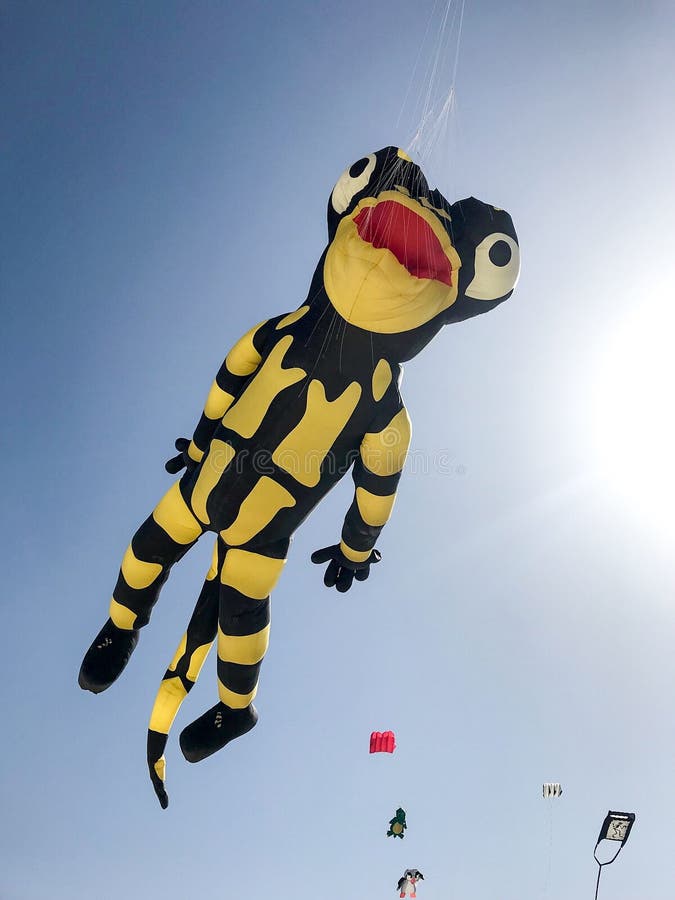 Kite in frog shape editorial photography. Image of international ...