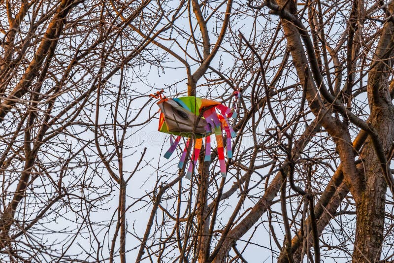 Kite Got Tangled in the Branches of a Tree. Environmental Pollution ...