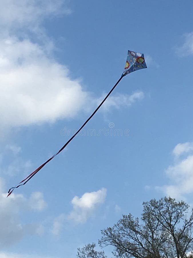Kite stock photo. Image of high, clouds, flying, treeline - 117847780