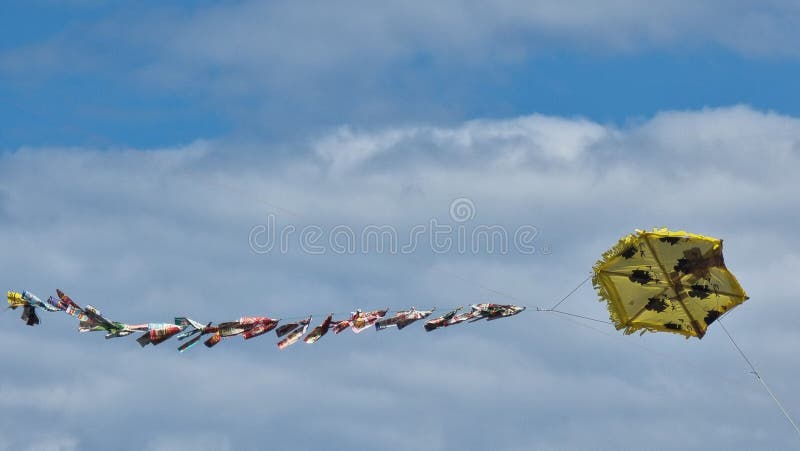 Kite Kites Flying on the Sky Rope Hand Playing Stock Photo - Image of ...