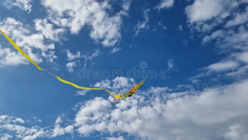 Kite Kites Flying on the Sky Rope Hand Playing Stock Illustration ...