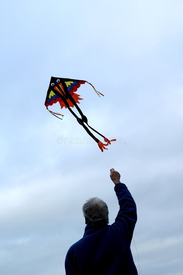 Kite editorial photography. Image of leisure, holding - 50101012