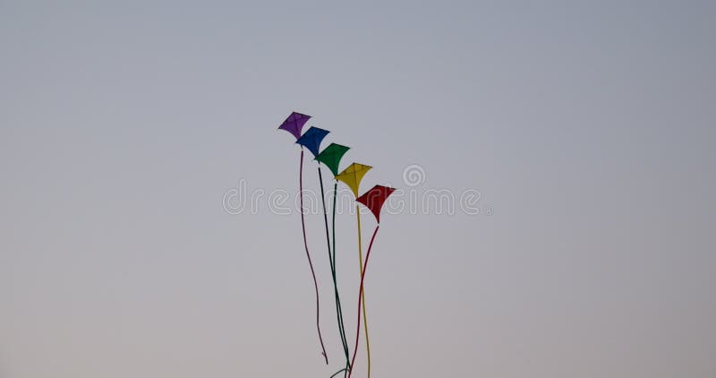 Kite Show Colorful Kites Fly in the Sky in the Evening Colored Kite in ...