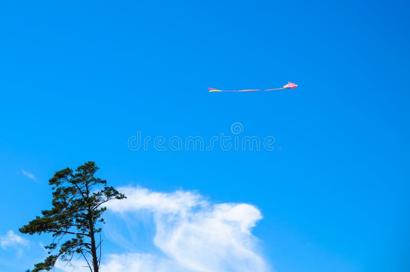 Kite in the Sky and a Lonely Tree Stock Image - Image of childhood ...