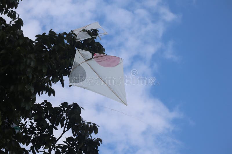 Kite Stuck Tree Stock Photos - Free & Royalty-Free Stock Photos from ...