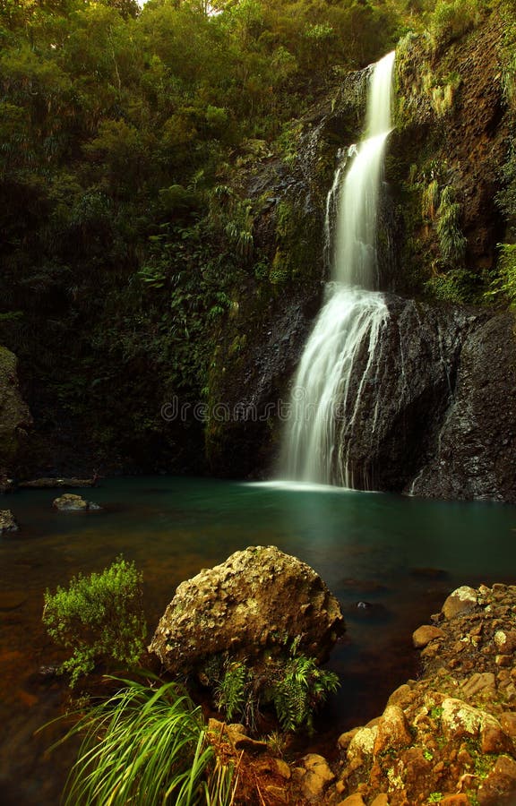 KiteKite Waterfall Piha stock photo. Image of flowing - 57051148