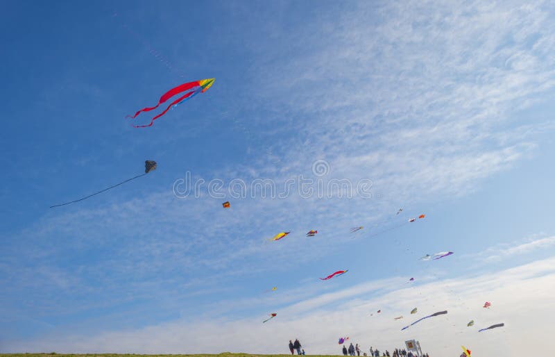 Kites Flying in the Wind in a Blue Sky in Sunlight at Fall Stock Photo ...