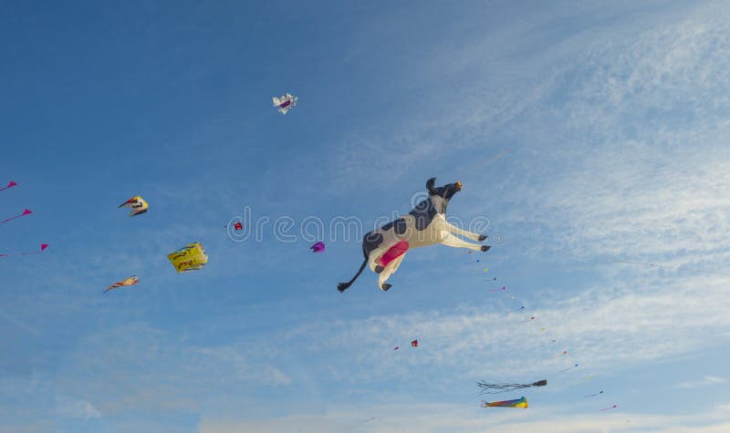 Kites Flying in the Wind in a Blue Sky in Sunlight at Fall Stock Photo ...