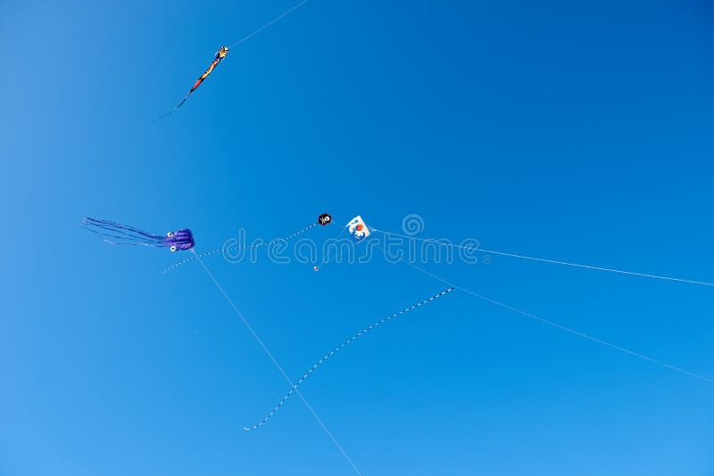 Kites with Their Tails Fluttering Against a Bright Blue Sky Stock Image ...