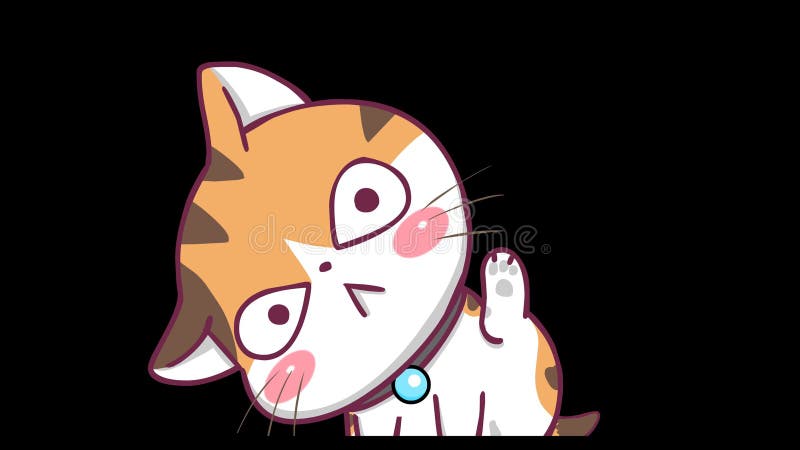 Kitten Chin Scratching Animation - Transparent Background Stock Video ...