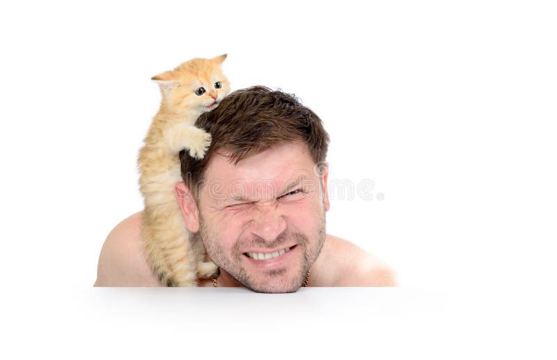 Kitten Grabbed the Man S Head on White Background Stock Photo - Image ...
