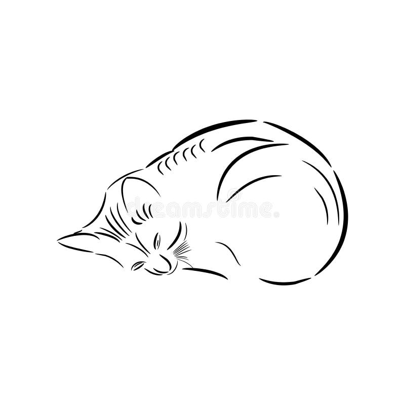 Wet Kitten Stock Illustrations – 688 Wet Kitten Stock Illustrations ...