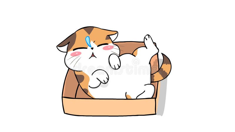 Kitten Nap in a Box - White Background for Simple Integration Stock ...